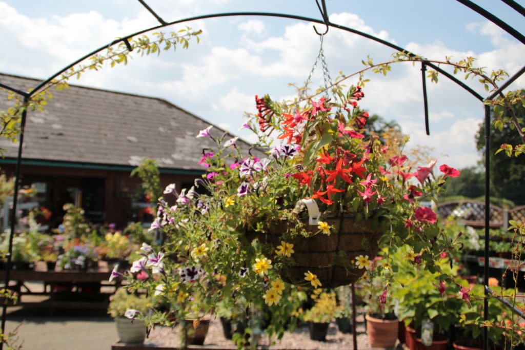 The Derwen College Garden Centre first opened in 1986