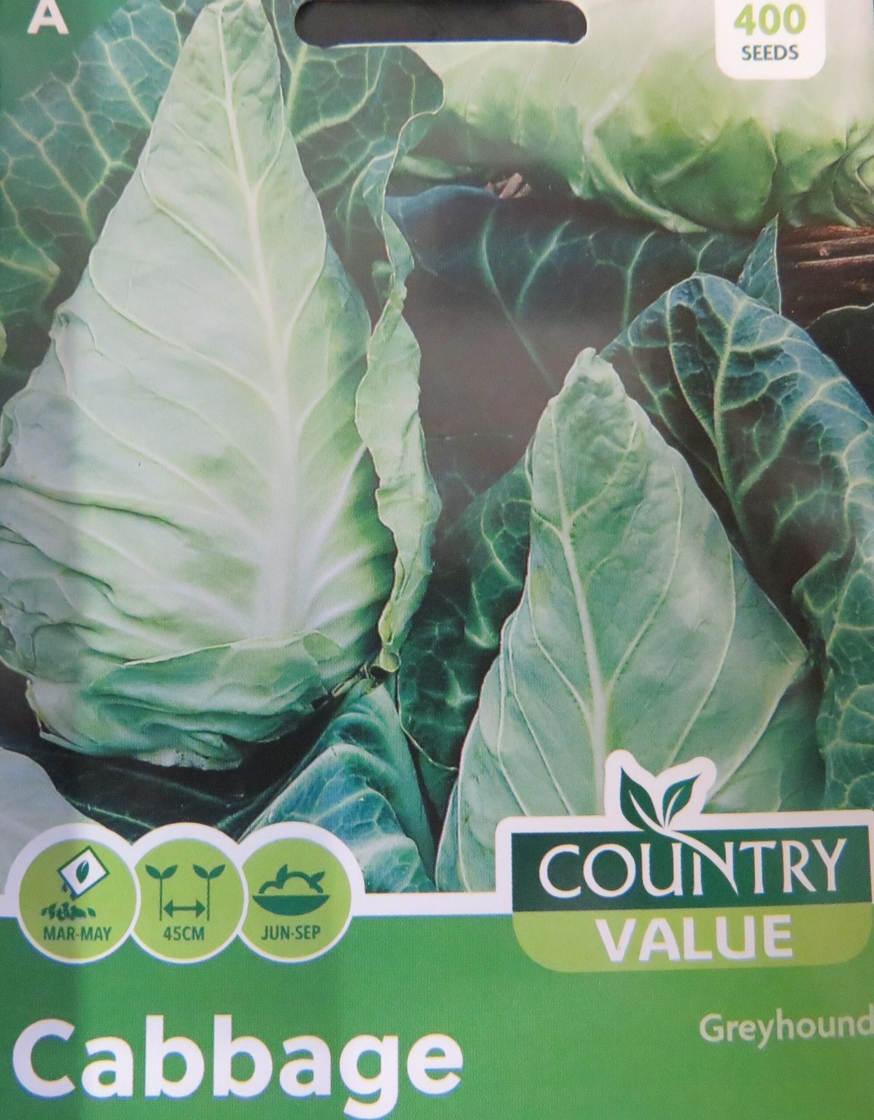 cabbagegreyhound - Derwen College