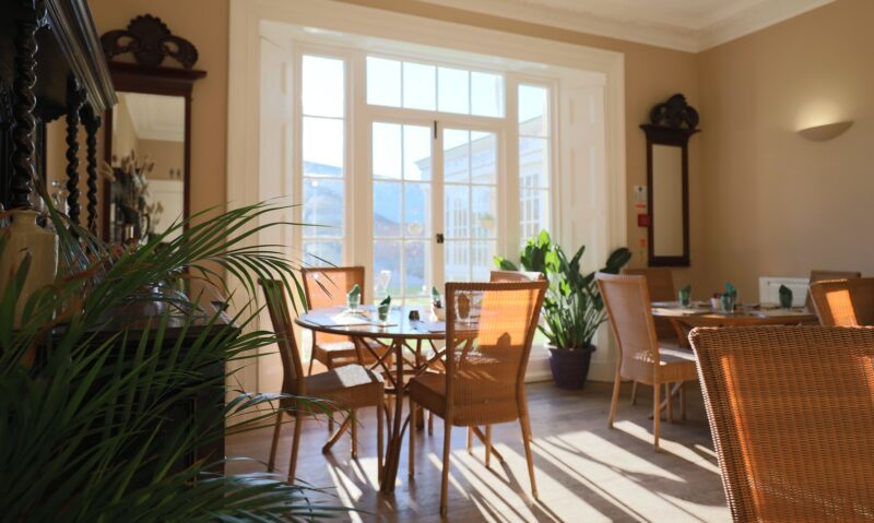 Visit Derwen Marketplace daily - garden centre, charity shop and cafe.