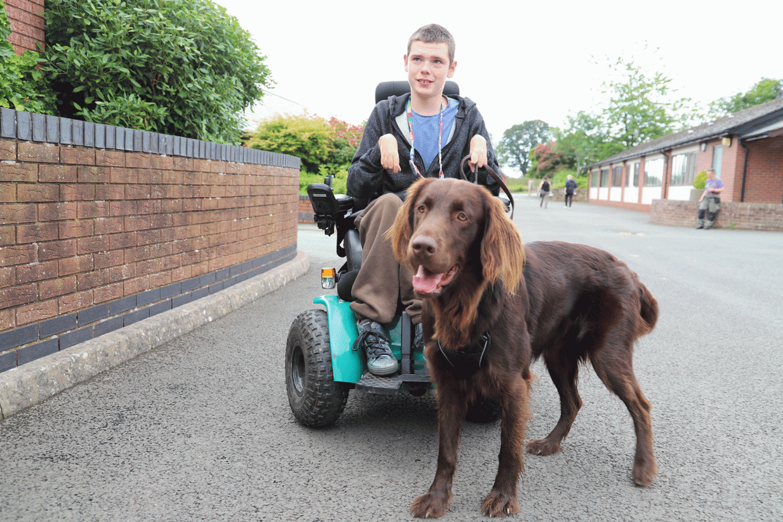 How Teddy our therapy dog supports students at Derwen College - Derwen ...